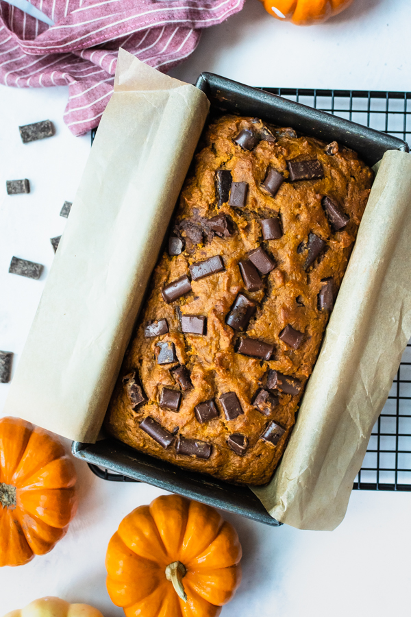 Pumpkin Chocolate Chunk Loaf